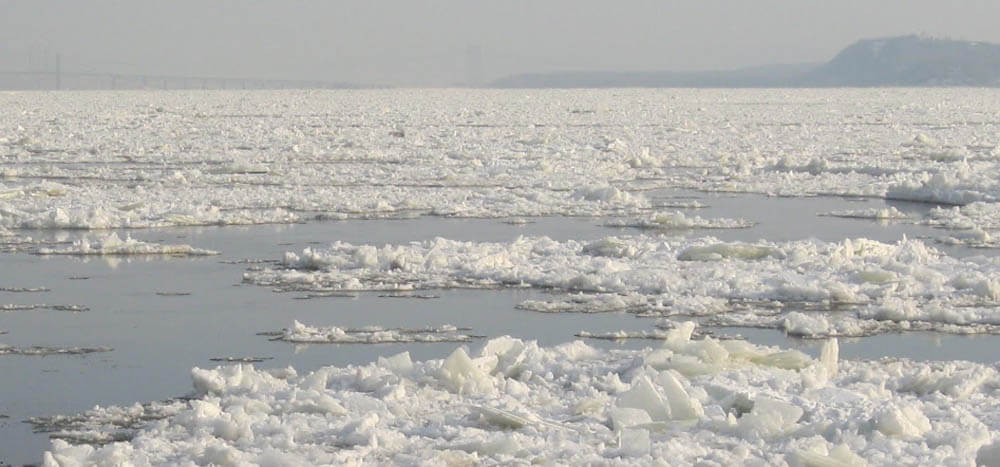 Surviving in cold water - HELP position