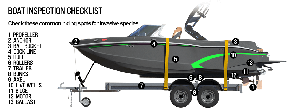 Preventing Aquatic Invasive Species (ANS) in the USA