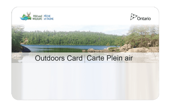 2026 Ontario Fishing Licence: Who Needs One & How to Get It