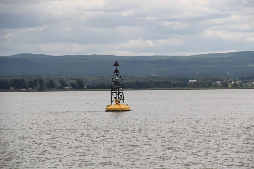Cardinal buoys are used to identify where is the safe water